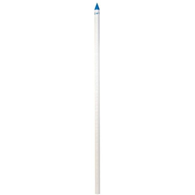 Brady BBP125-4 1.25 in. 4 ft. Blue Well Point - Walmart.com