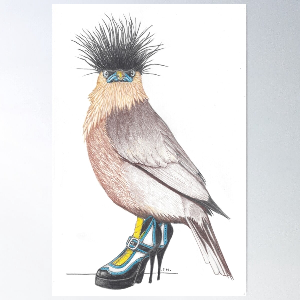 Brahminy Myna In Retro High Heels Poster Wall Art, Modern Wall Decor ...