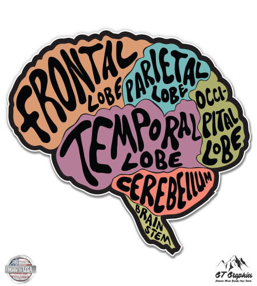 Brain - 5" Vinyl Sticker - For Car Laptop I-Pad - Waterproof Decal ...