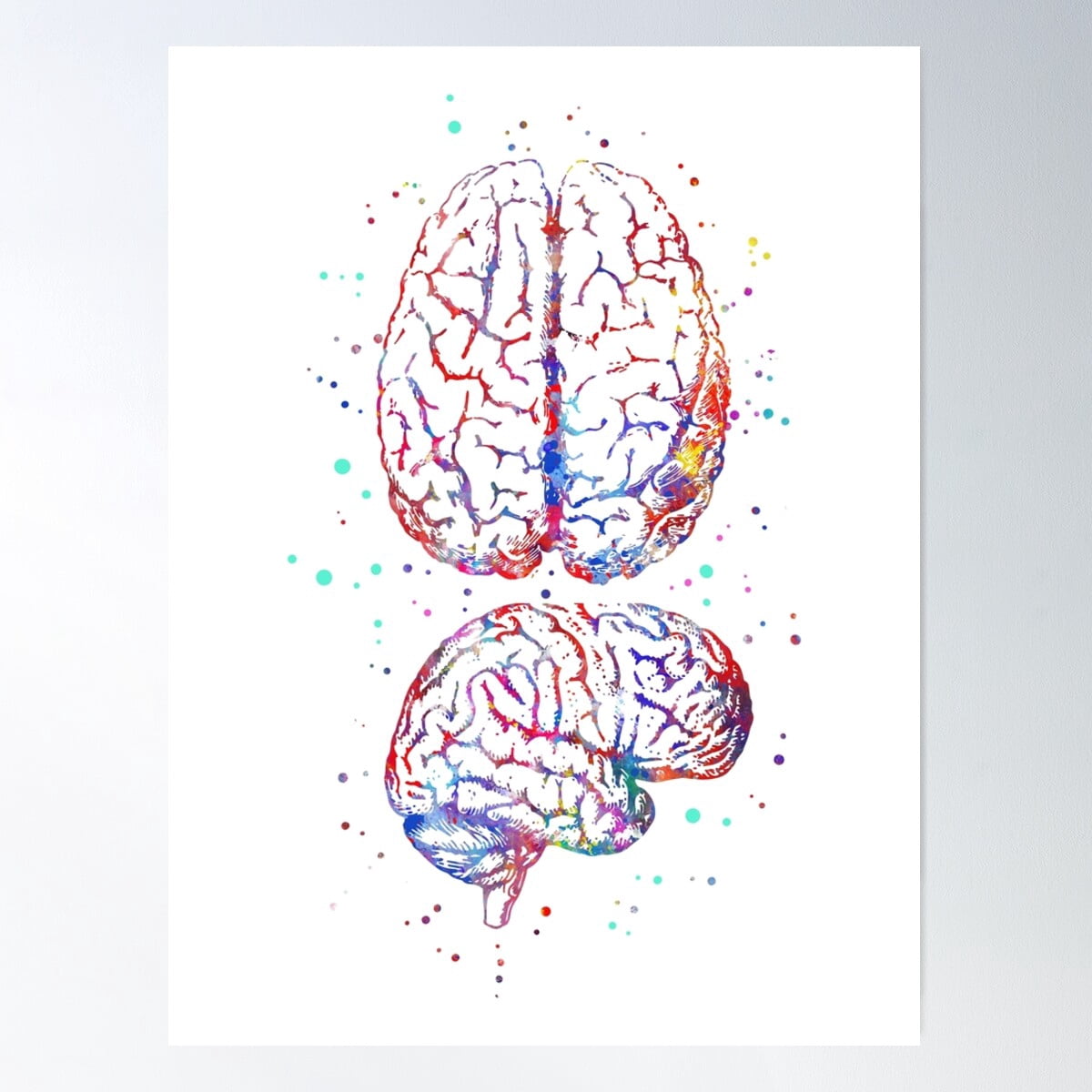 Brain Anatomy, Medical Art, Watercolor Brain, Brain Print Poster Wall ...