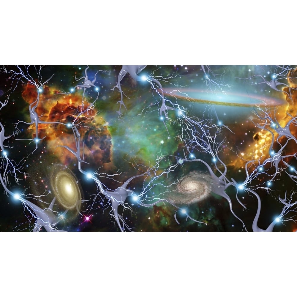 Brain Cells and Deep Space Poster Print by Bruce Rolff/Stocktrek Images ...