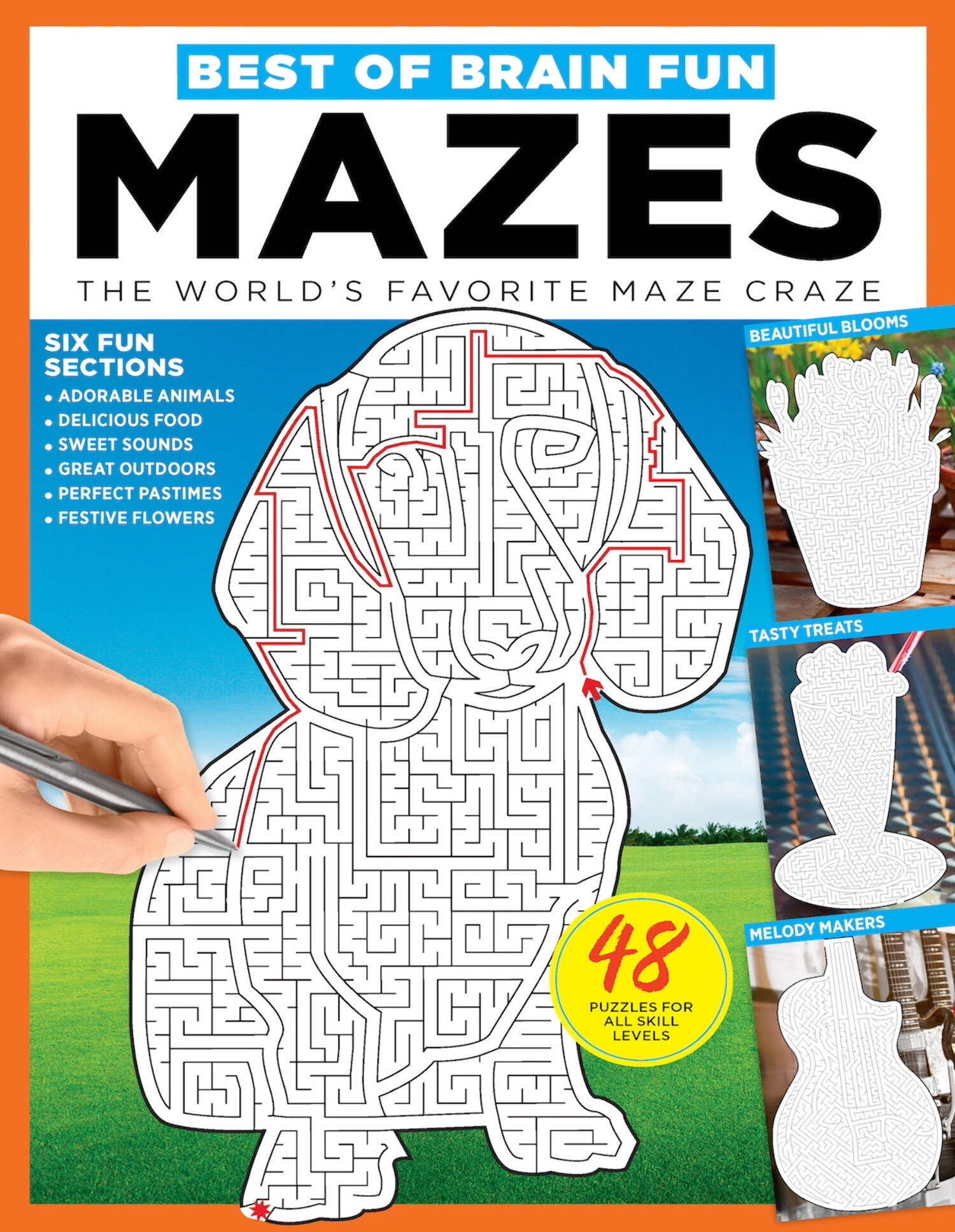 Brain Fun - Mazes: 48 Puzzles For All Skill Levels, Six Sections ...