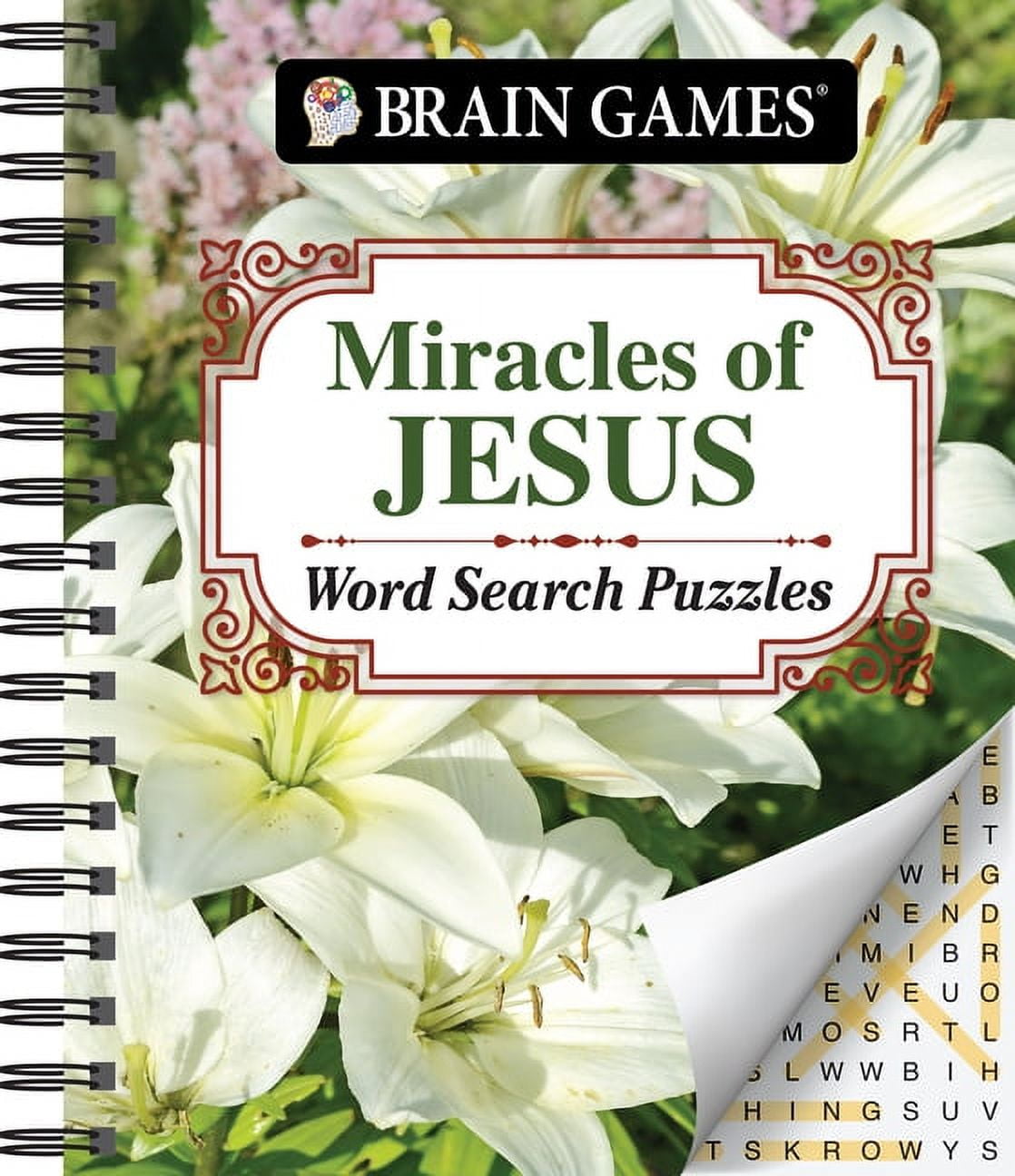 Brain Games MIRACLES OF JESUS WS - Walmart.com