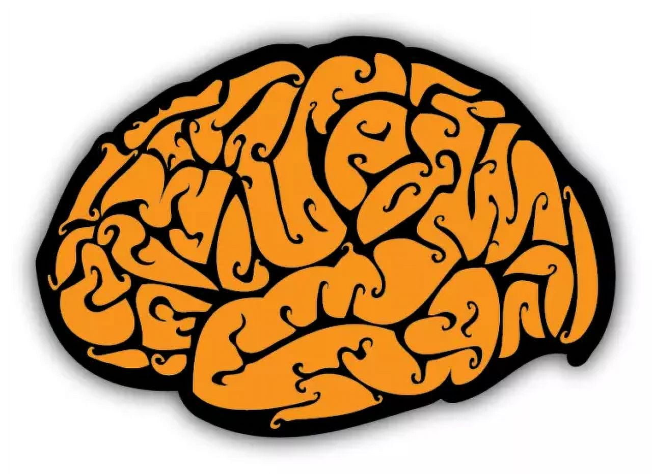 Brain Illustration Sticker Phone Decal Water Bottle Stickers Car Decals ...
