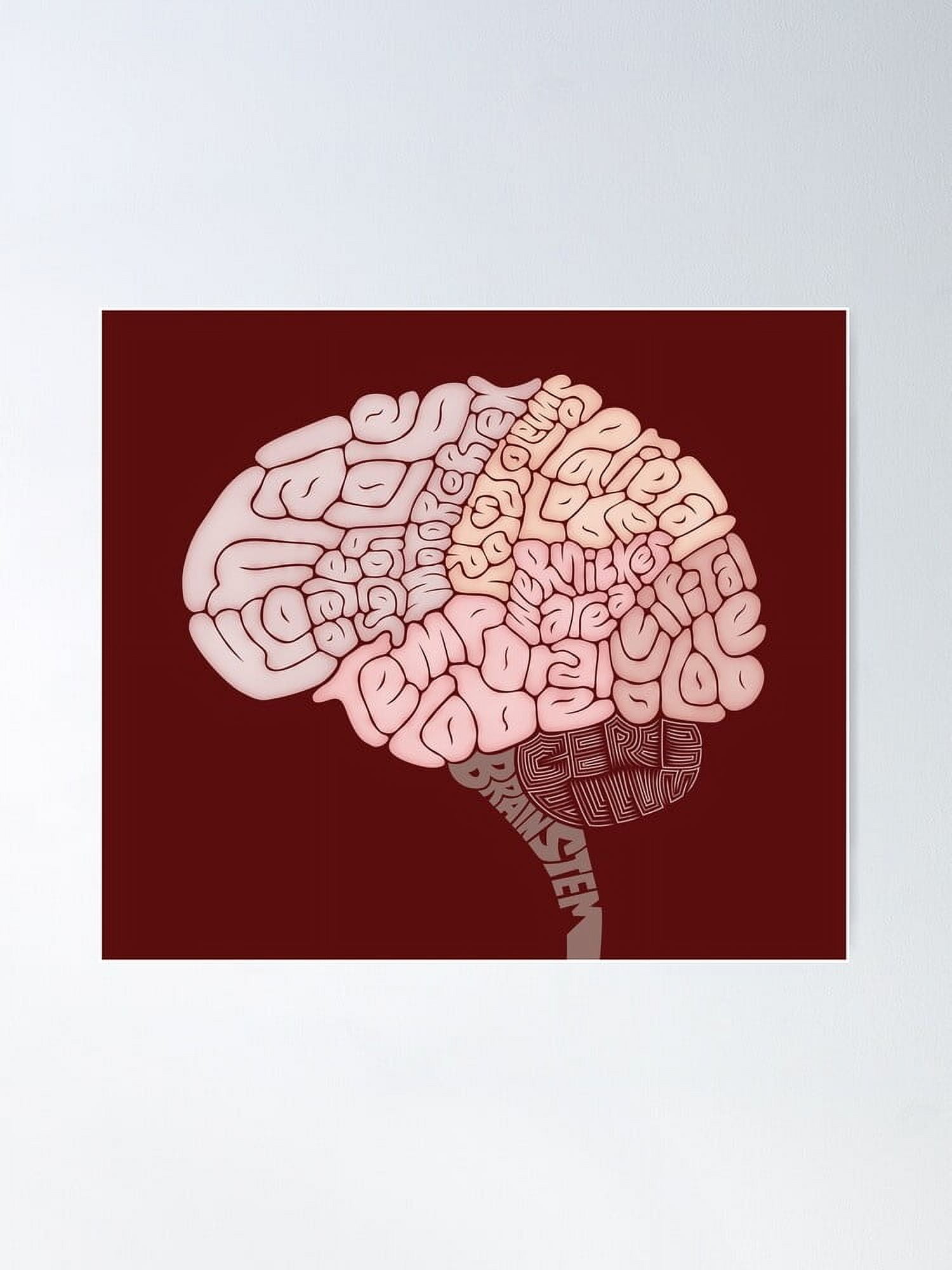 Brain Map Poster - Walmart.com