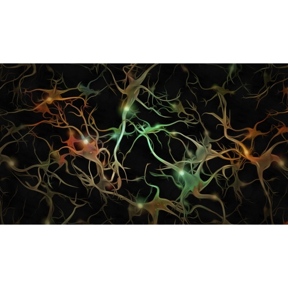 Brain Neurons and glowing nodes. Vivid painting Poster Print by Bruce Rolff/Stocktrek Images ...