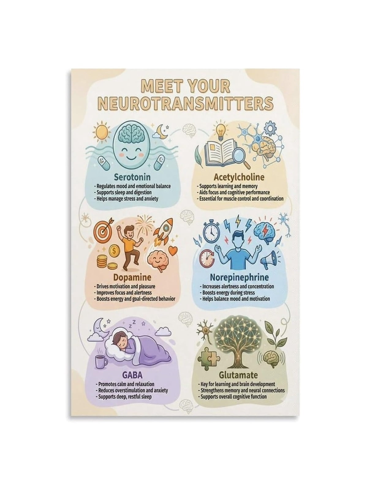 Brain Neurotransmitters Science Poster Educational Decor For Classroom ...