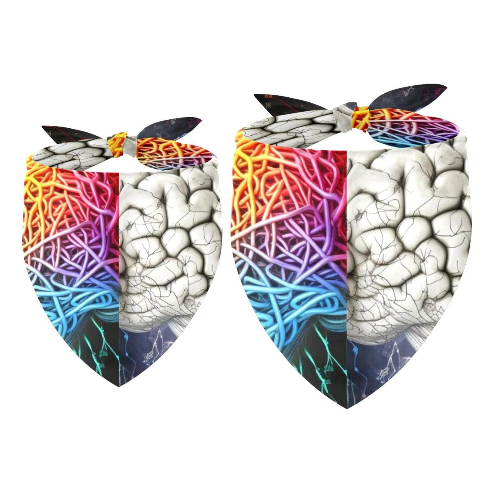 Brain Pack of Two Cat Scarves, Translucent Light and Breathable Chiffon ...