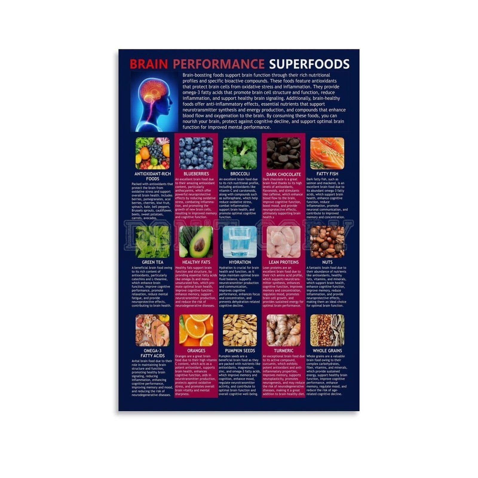 Brain Performance Superfoods Chart Poster Healthy Diet Poster Canvas ...