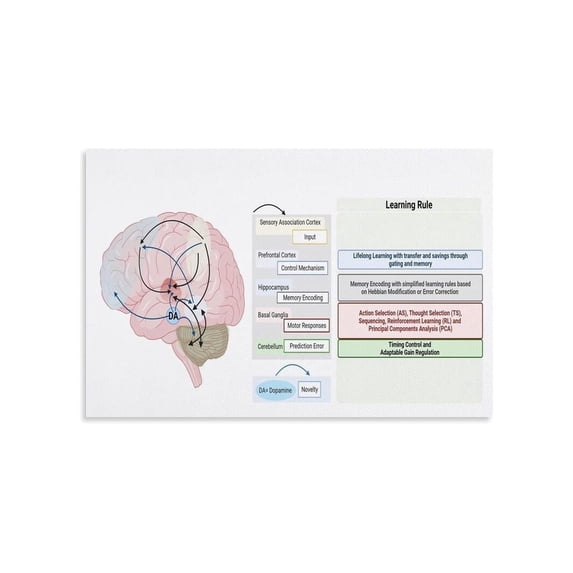Brain Study Neural Science Educational Poster Classroom Research ...