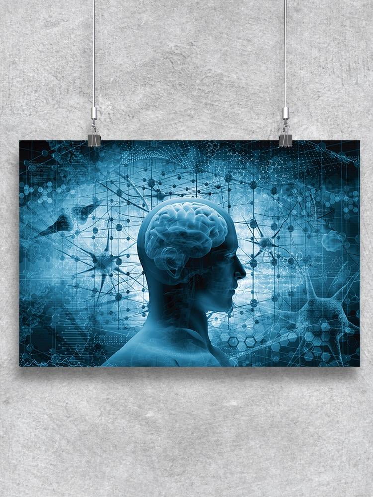 Brain: Thinking Process Poster -Image by Shutterstock - Walmart ...