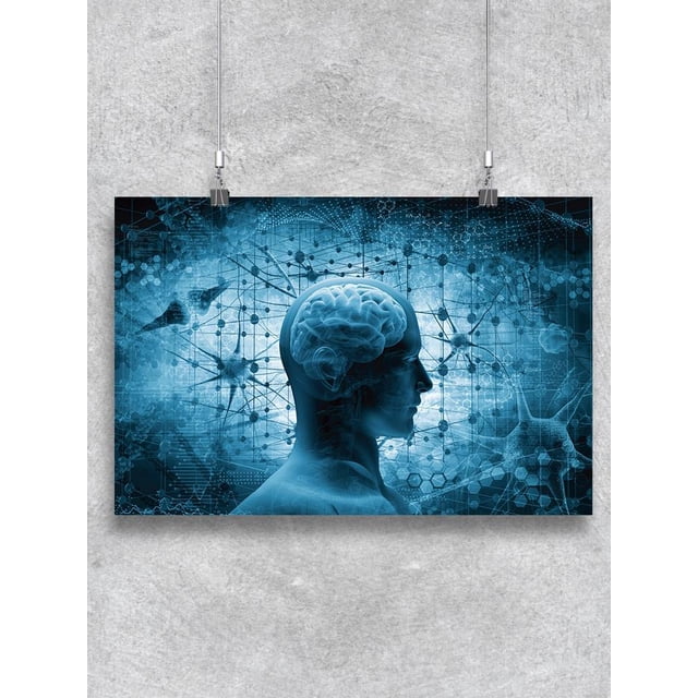 Brain: Thinking Process Poster -Image by Shutterstock - Walmart ...
