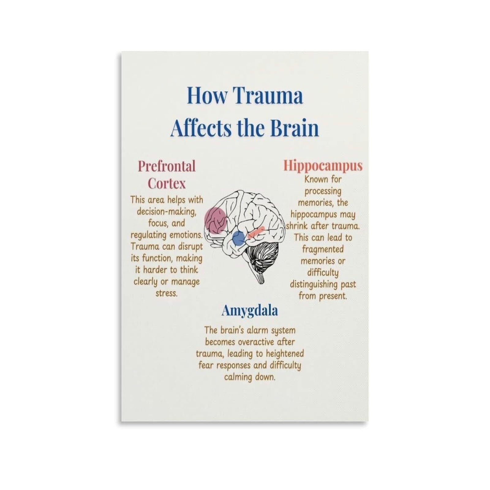 Brain Trauma Affects Poster Canvas Wall Art Posters For Room Aesthetic ...