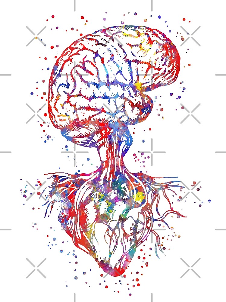 Brain and heart, heart anatomy, medical art, heart anatomy Canvas ...
