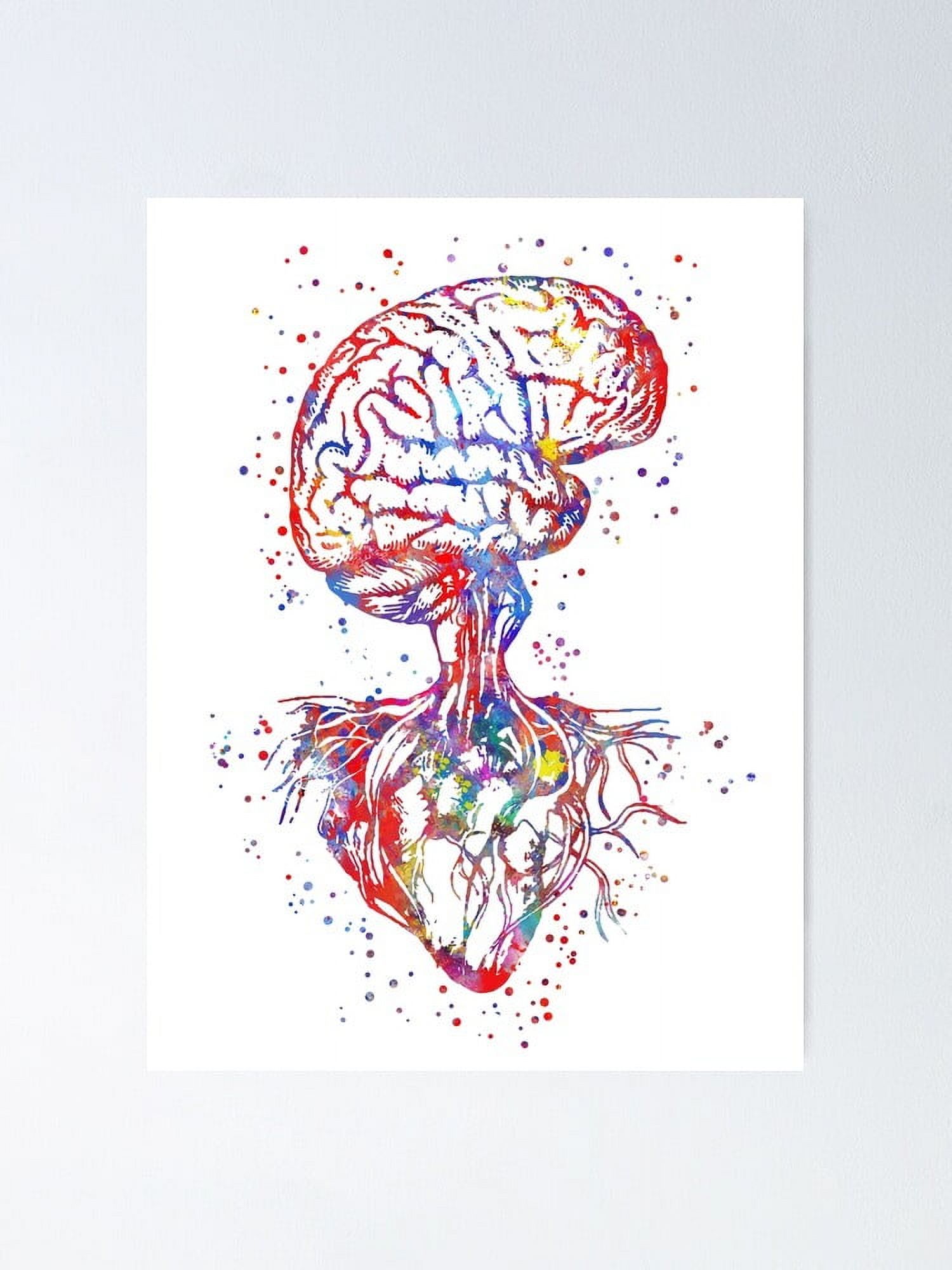 Brain and heart, heart anatomy, medical art, heart anatomy Canvas ...