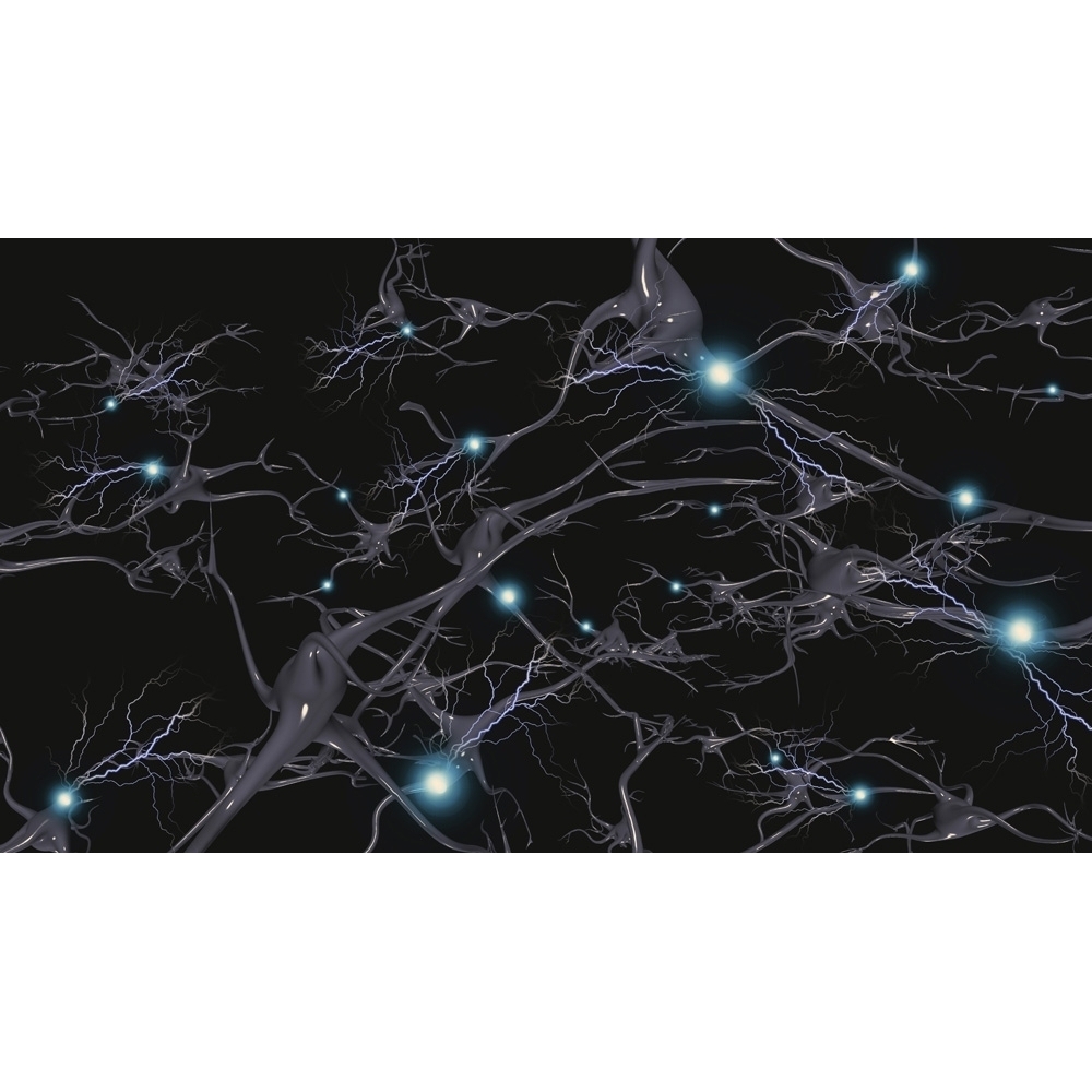 Brain cells with electrical firing Poster Print by Bruce Rolff/Stocktrek Images - Walmart.com