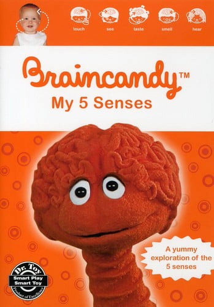 Braincandy (DVD), Velocity / Thinkfilm, Kids & Family - Walmart.com