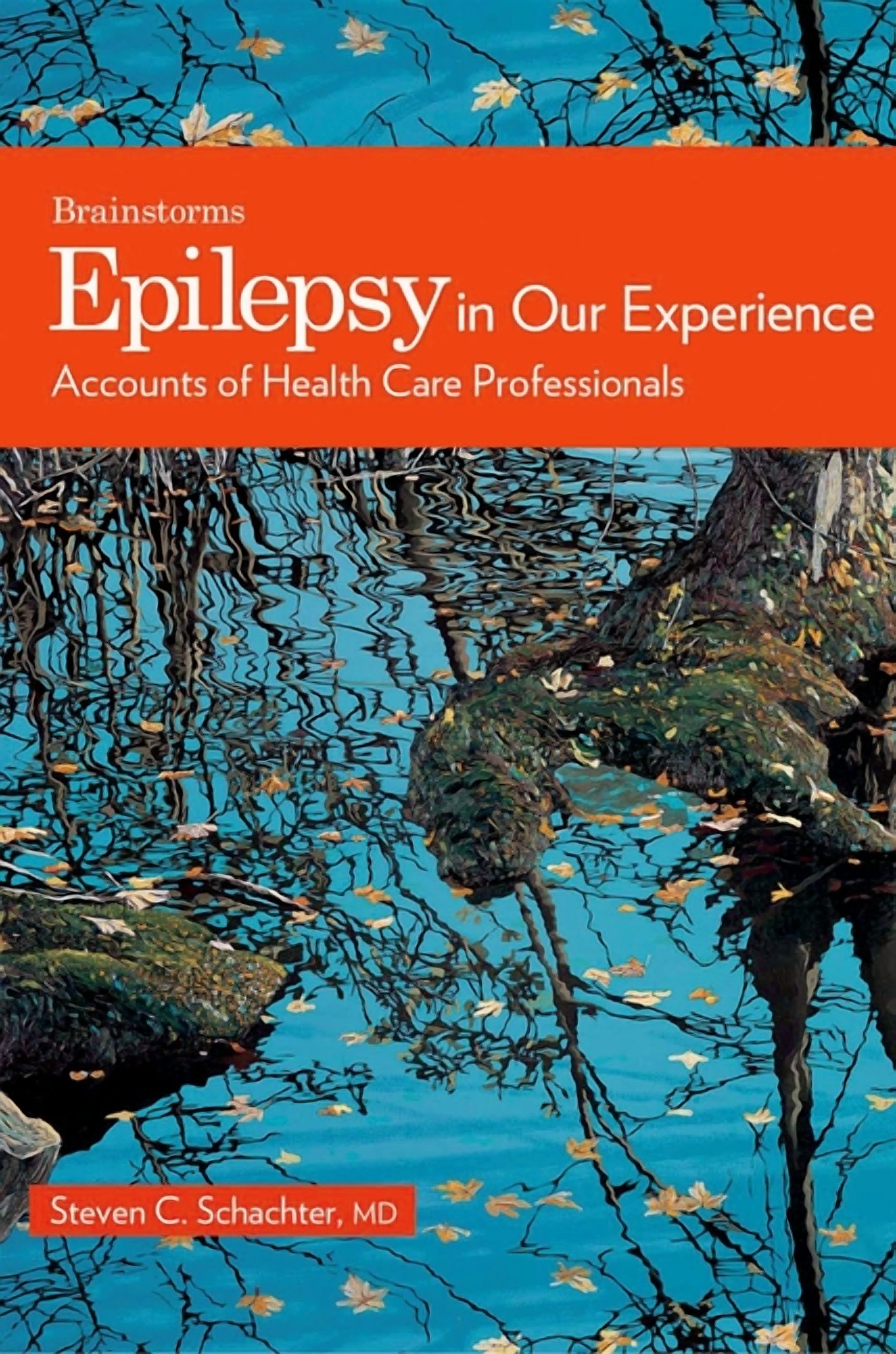 Brainstorm Epilepsy in Our Experience: Accounts of Health Care ...