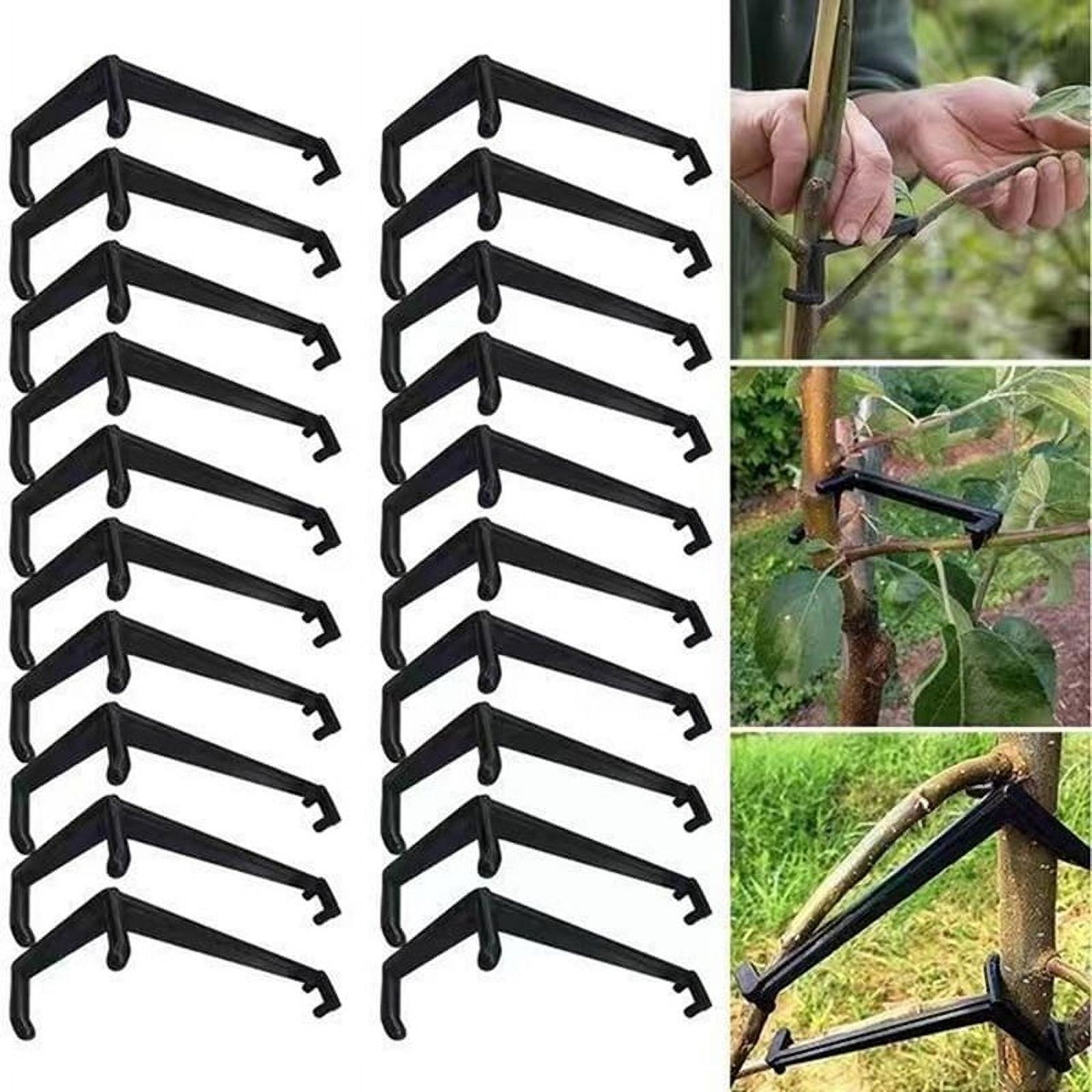 Branch Spreaders Plant Stem Traine Fruit Tree Branch Puller Tying ...