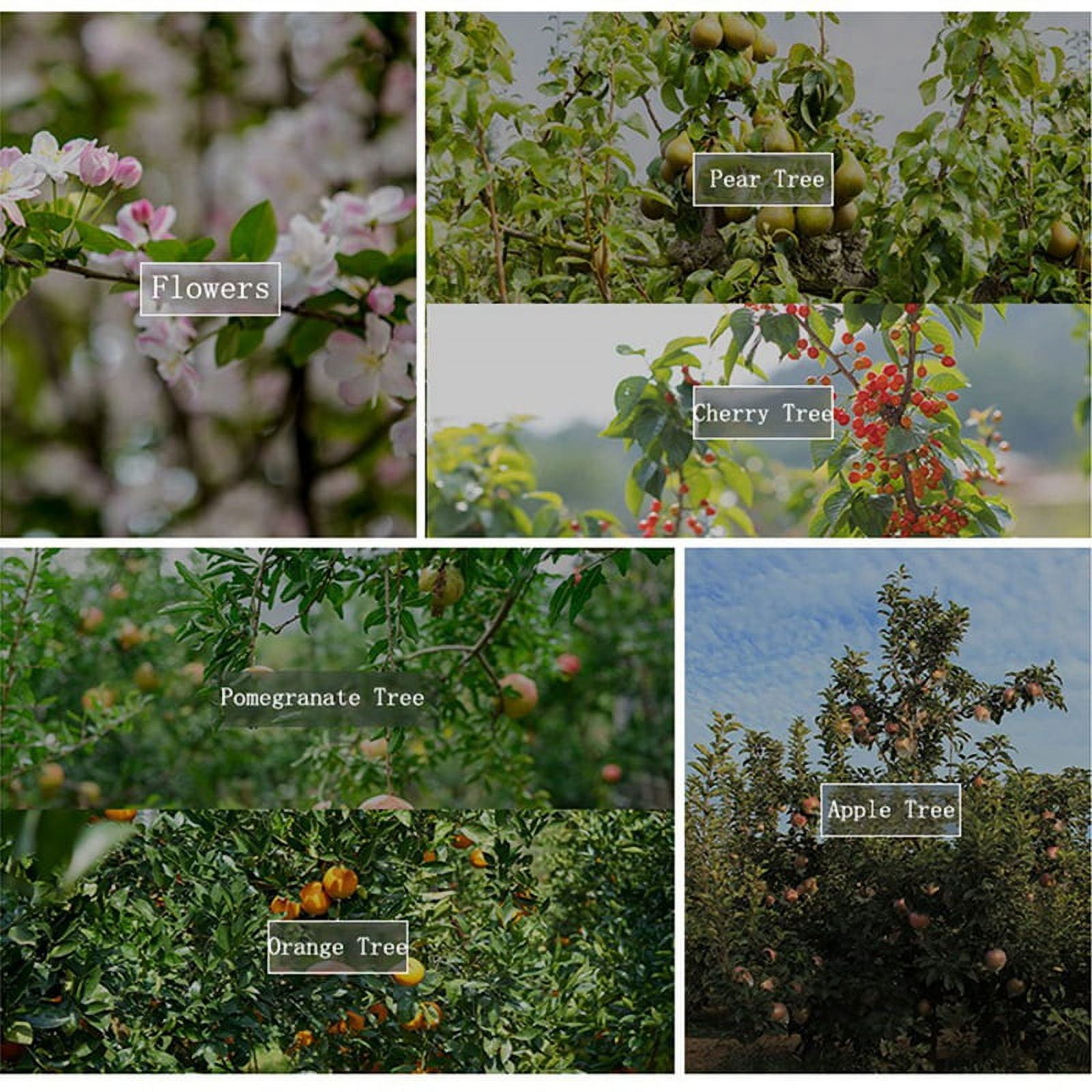 Branch Spreaders Plant Stem Trained Fruit Tree Branch Puller Tying ...