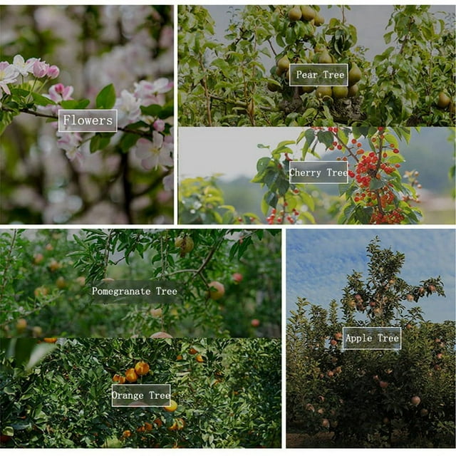 Branch Spreaders Plant Stem Trained Fruit Tree Branch Puller Tying ...