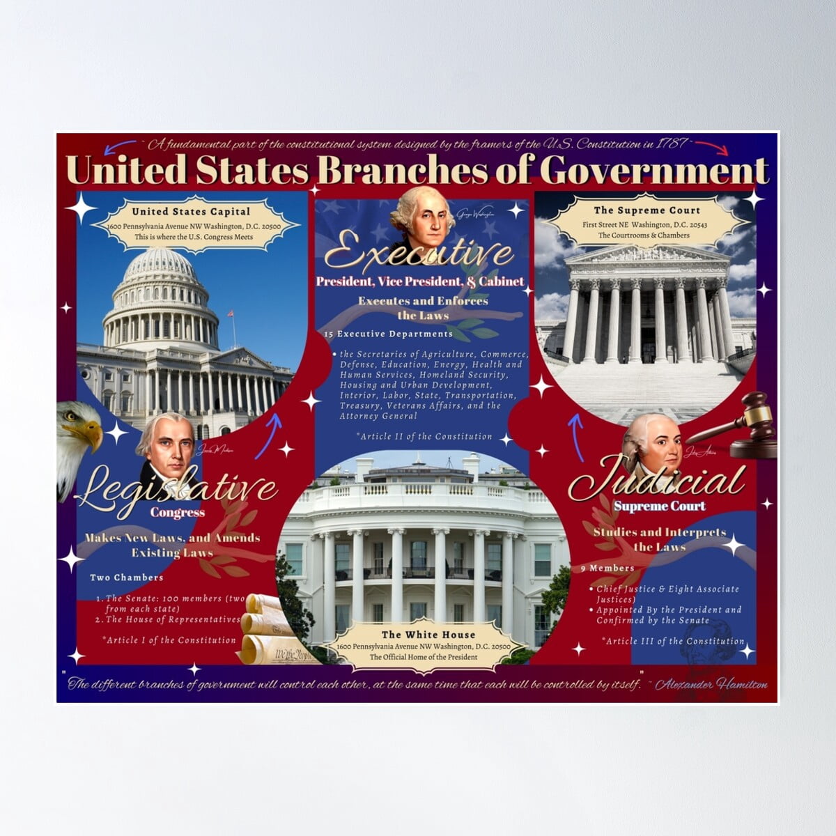 Branches Of Government: Discover The Essence Of Democracy Poster Wall ...