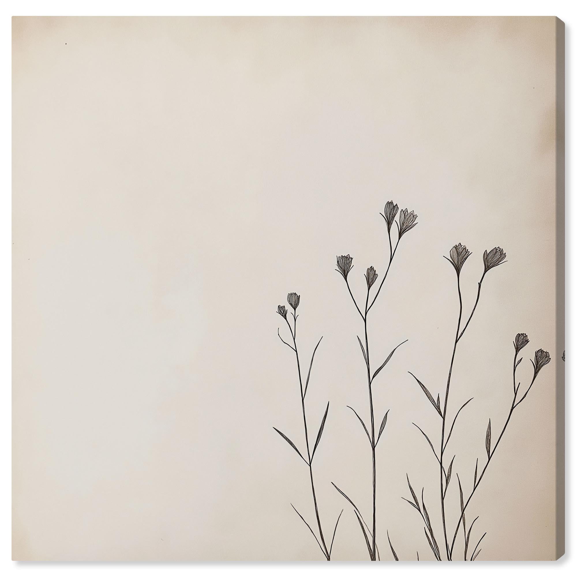 Branches of Calm Canvas Vintage Botanic Art by Art Remedy, Gallery ...