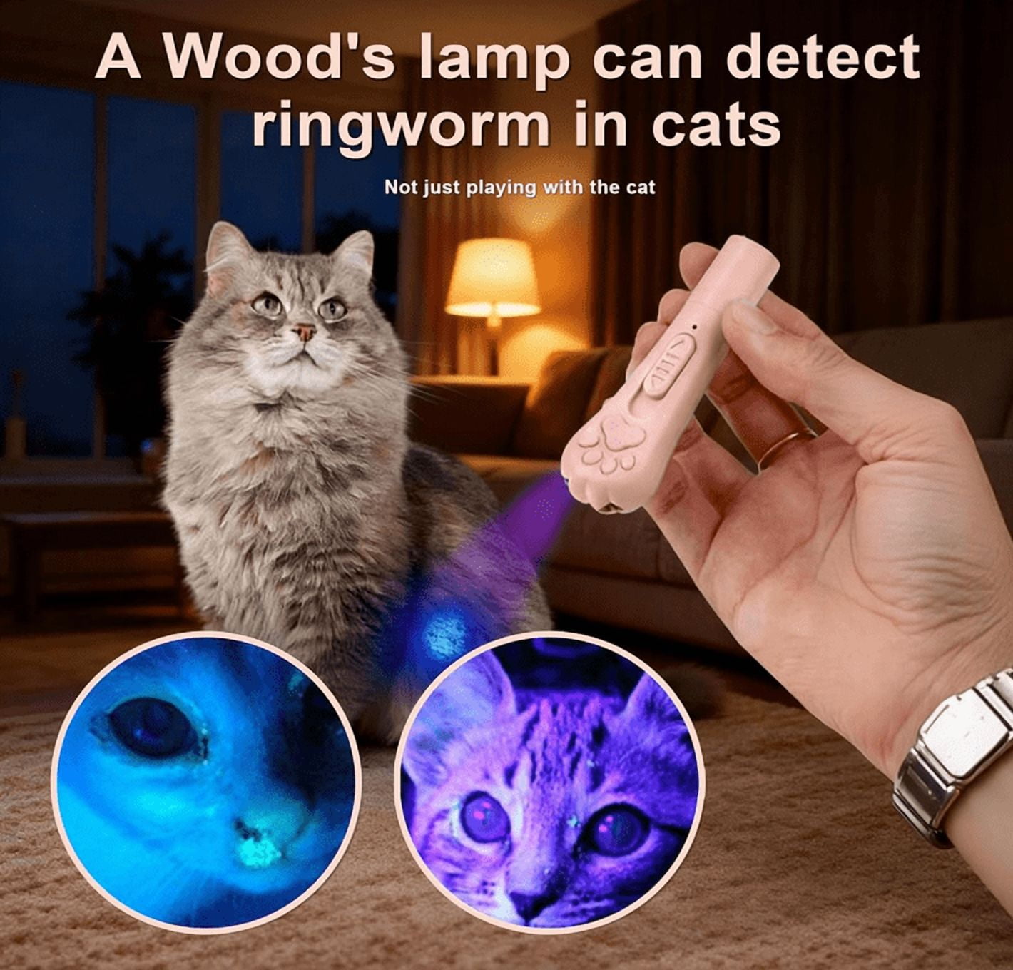 Brand New!Cat Paw LED Flashlight, USB Rechargeable, Interactive Toy ...