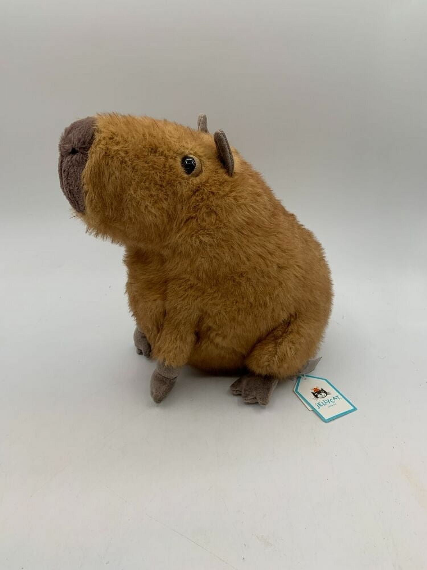 Brand New Jellycat Clyde Capybara Brown Rodent Plush Stuffed with Dust ...