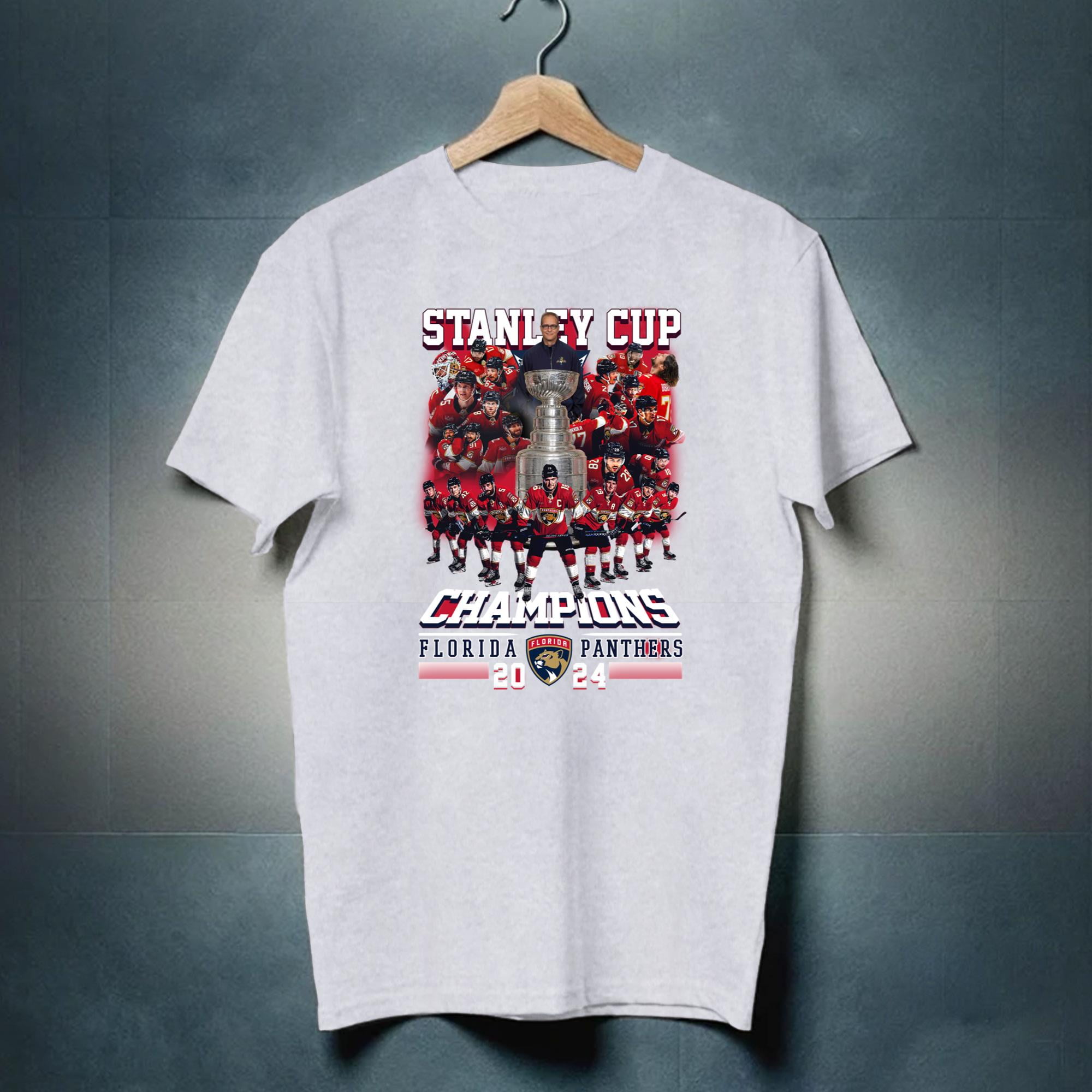 Brand new t-shirts, t-shirts in sharp pictures, Ice Hockey Champions ...