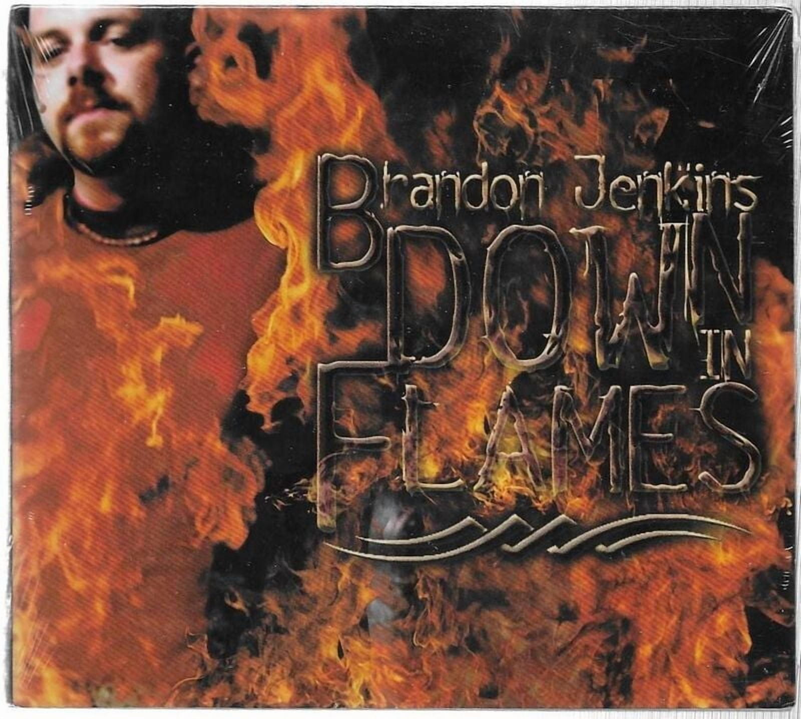 Brandon Jenkins ‎- Down In Flames - Audio CD - Walmart.com