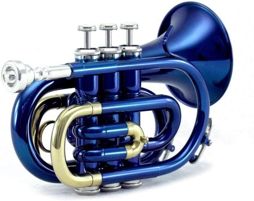 Brass Bb Pocket Trumpet with Case, Gold (Blue) - Walmart.com