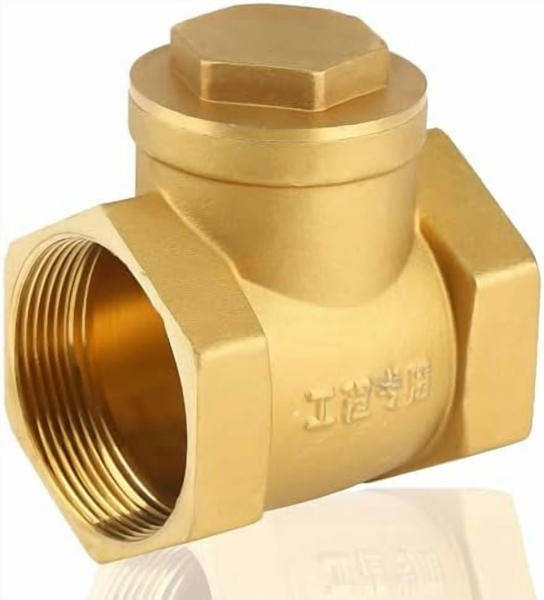Brass Check Valve DN50 2 Inch BSPP Female Thread Swing Type 232 PSI One ...