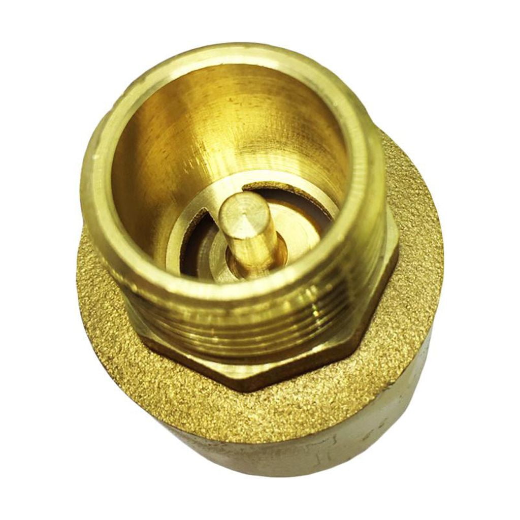 Brass Internal and External Filaments Vertical Way Check DN15 - Walmart.com