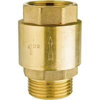 Brass check valve, 1" threaded inlet and outlet check valve, suitable ...