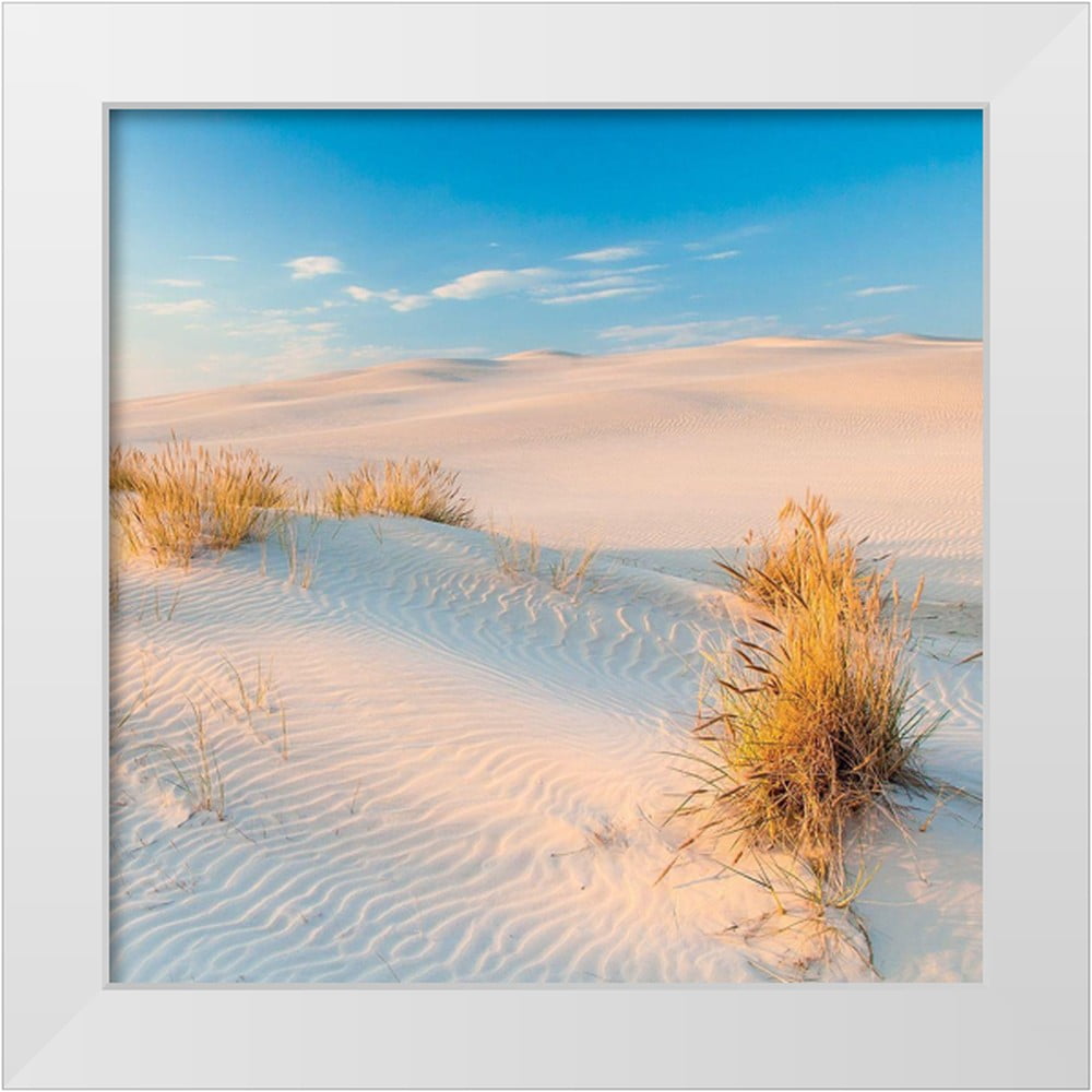 Braun Studio 20x20 White Modern Wood Framed Museum Art Print Titled ...