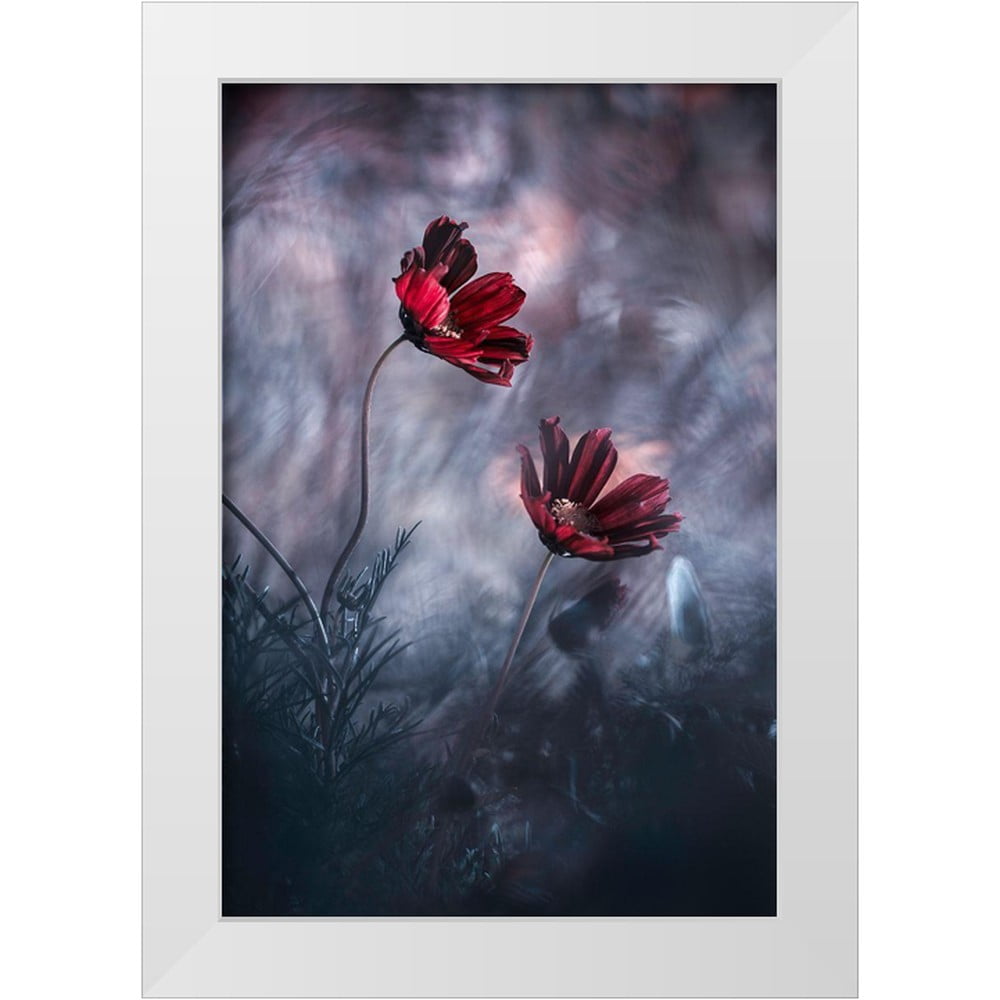 Bravin, Fabien 11x14 White Modern Wood Framed Museum Art Print Titled ...