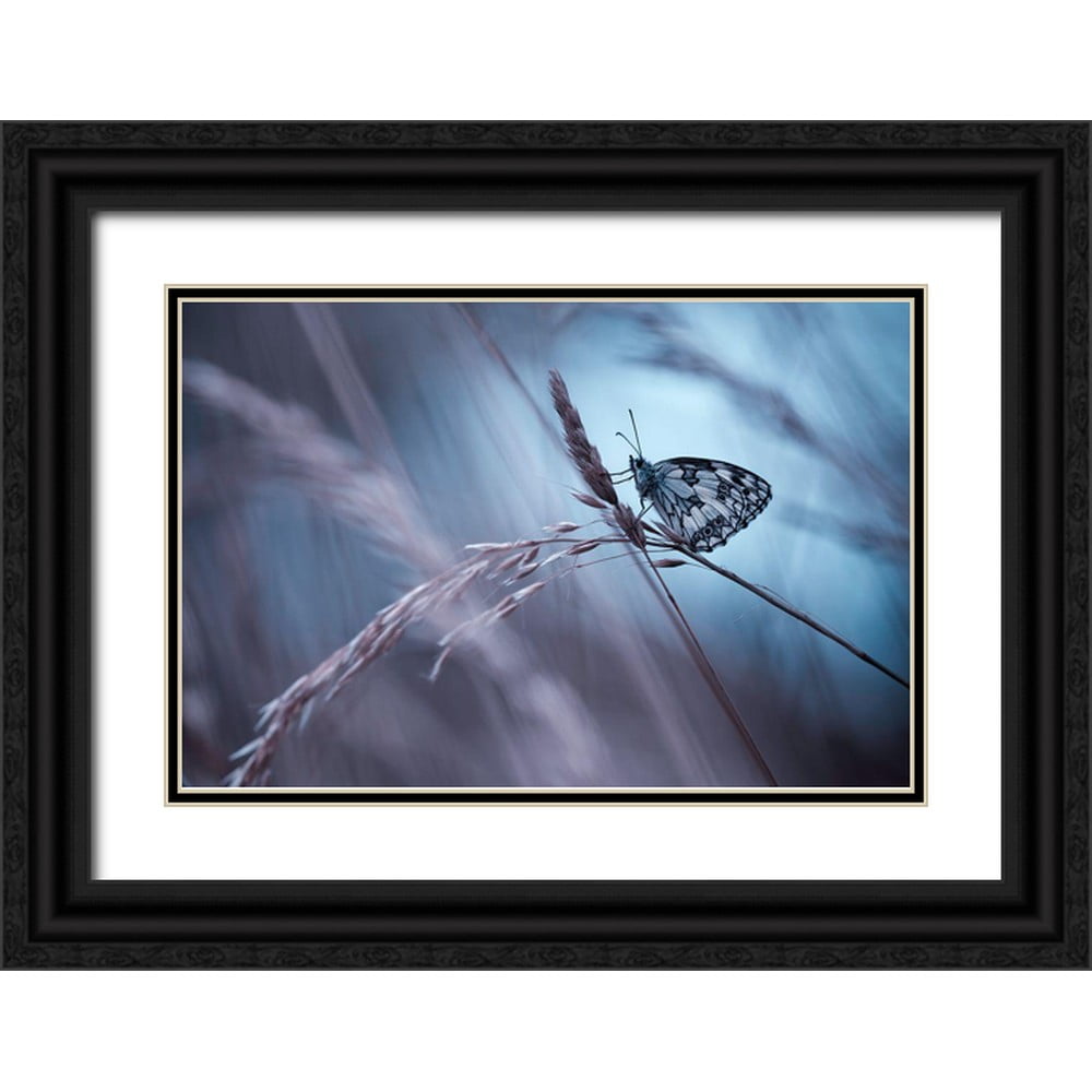 Bravin, Fabien 14x11 Black Ornate Wood Framed with Double Matting ...