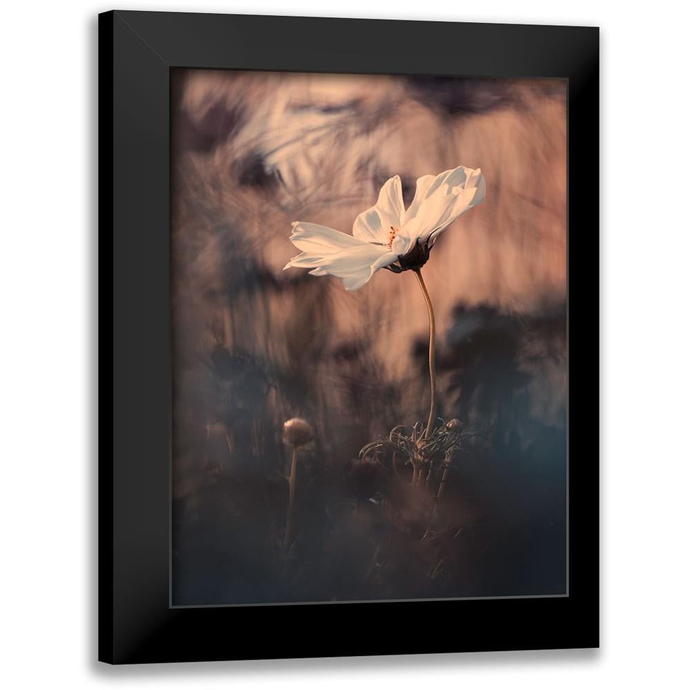 Bravin, Fabien 15x18 Black Modern Framed Museum Art Print Titled - The ...