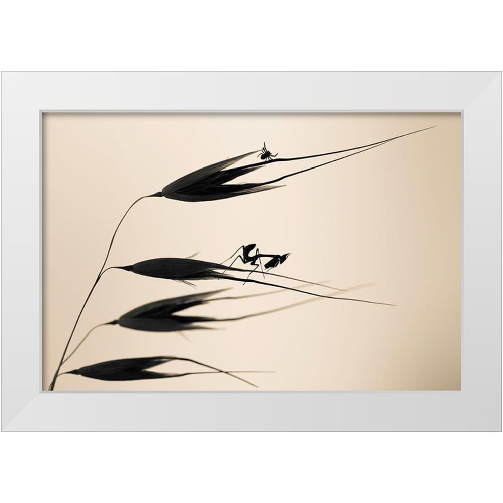 Bravin, Fabien 18x13 White Modern Wood Framed Museum Art Print Titled ...