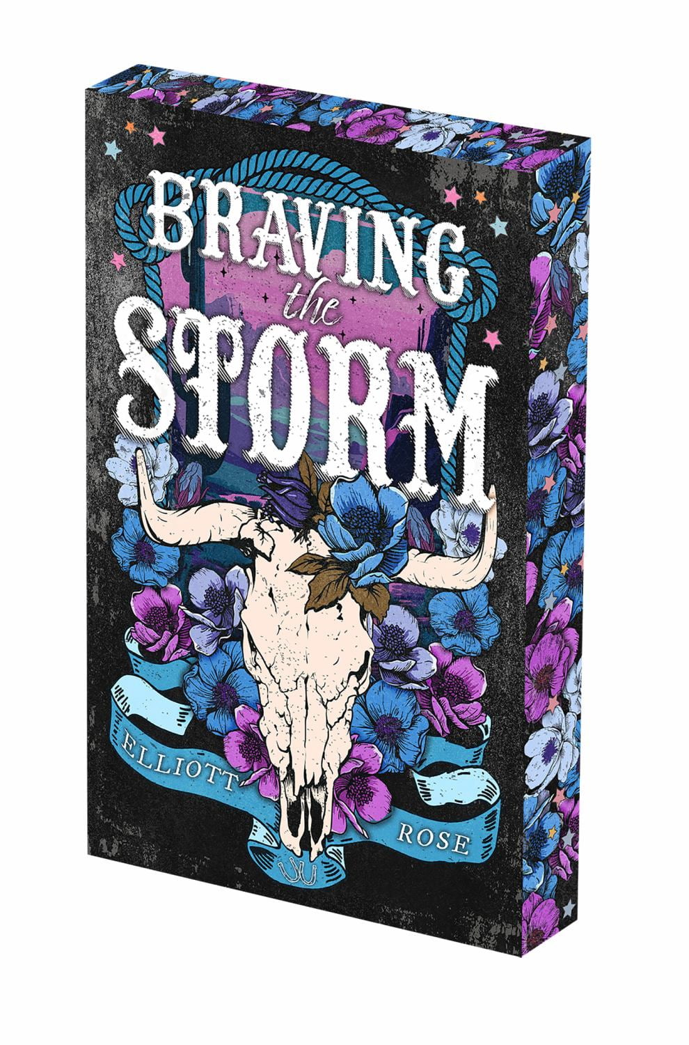 Braving the Storm: Deluxe Limited Edition (Paperback) - Walmart.com