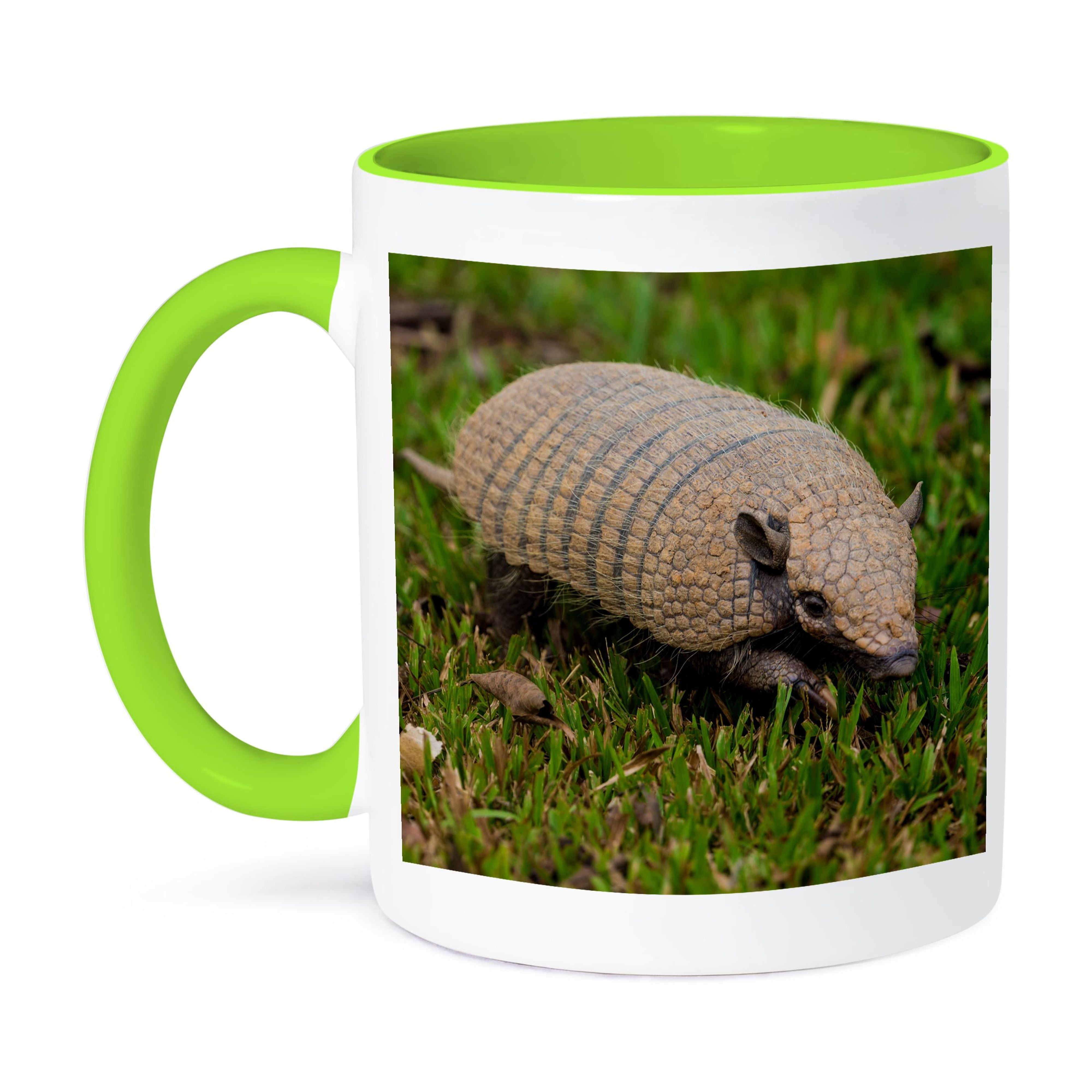 Brazil. A Pichi, Dwarf Armadillo, Zaedyus Pichiy, In The Pantanal, 11oz ...