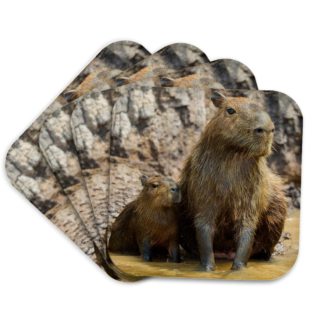 3dRose, Brazil. A capybara sitting in muddy water with its offspring ...