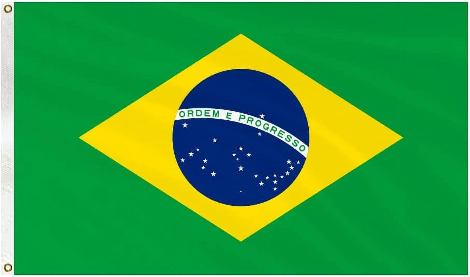 Brazil (Brasil) Country Flag Outdoor Indoor Decoration Flag with Brass ...