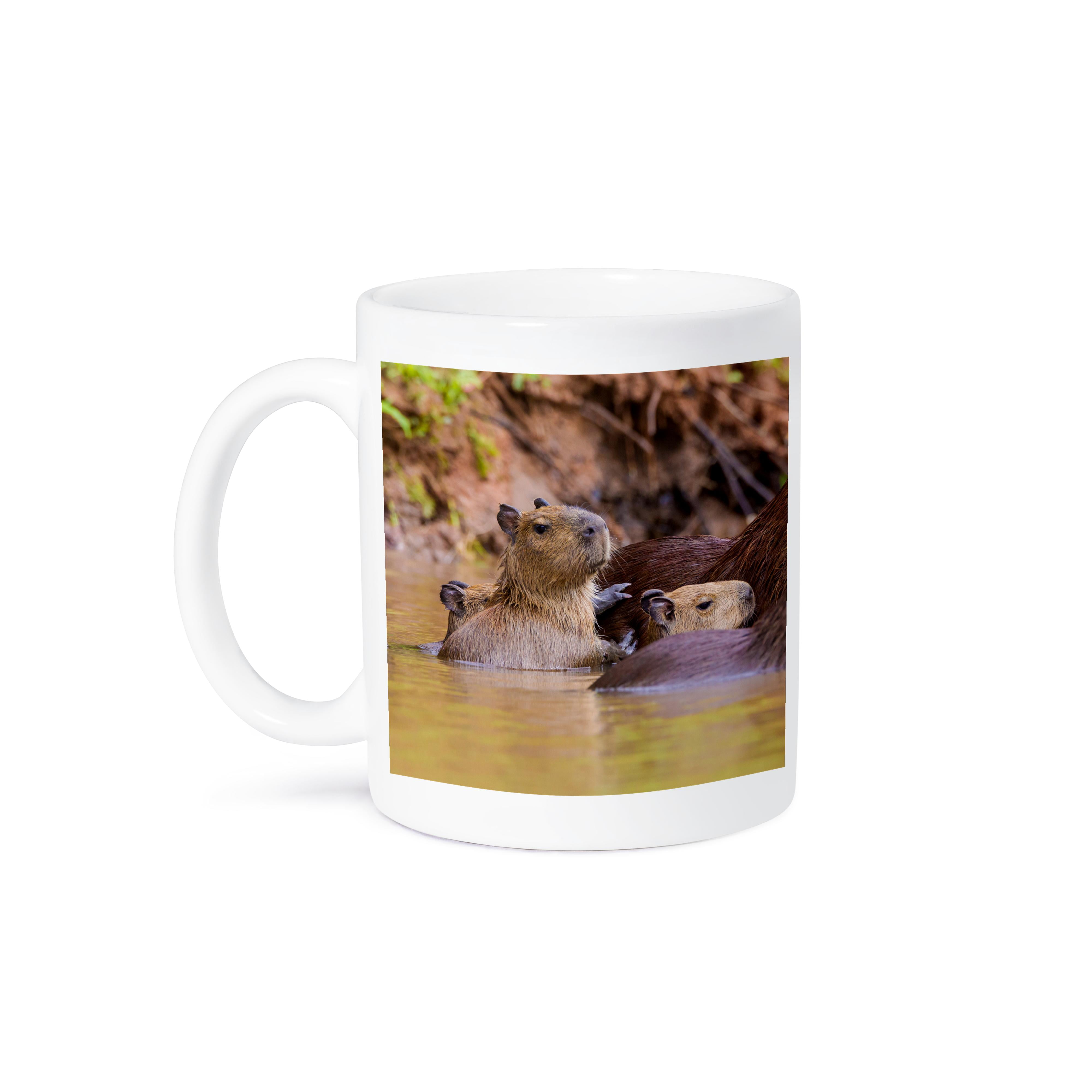 3drose, Brazil. Capybara Family Relaxing in Muddy Water., 11oz Mug ...