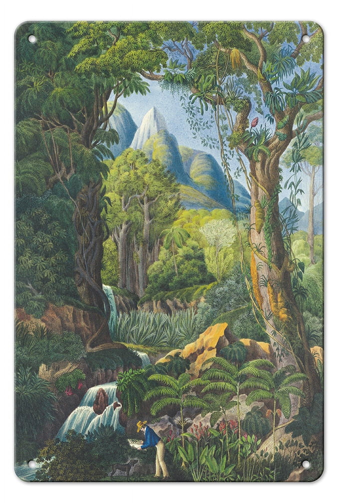 Brazil Forest - Zoologist Johann Baptist von Spix - Vintage Botanical ...