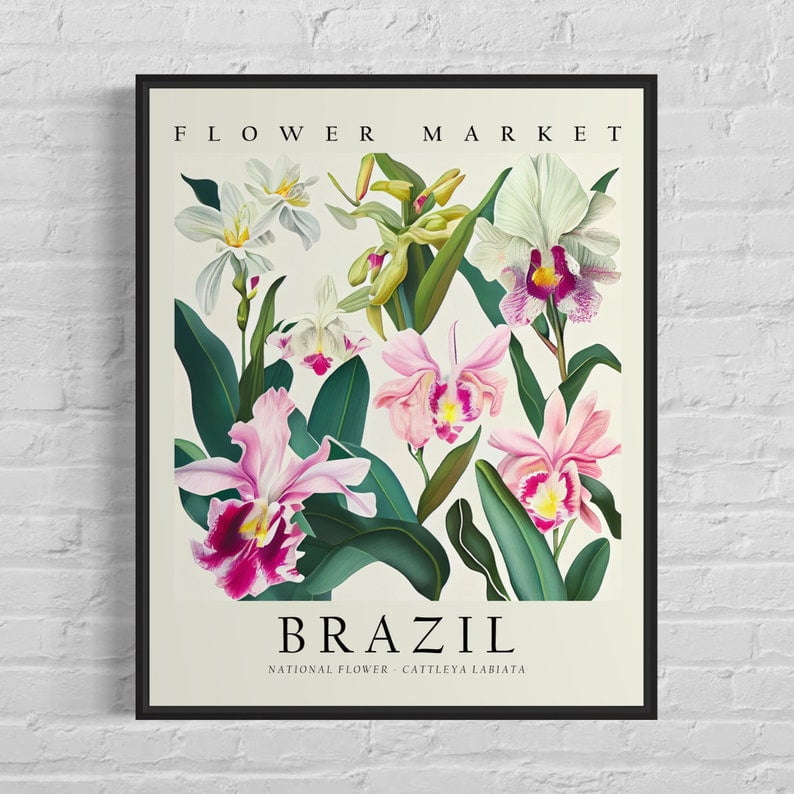 Brazil National Flower Print, Cattleya Labiata 1960s Art - Walmart.com