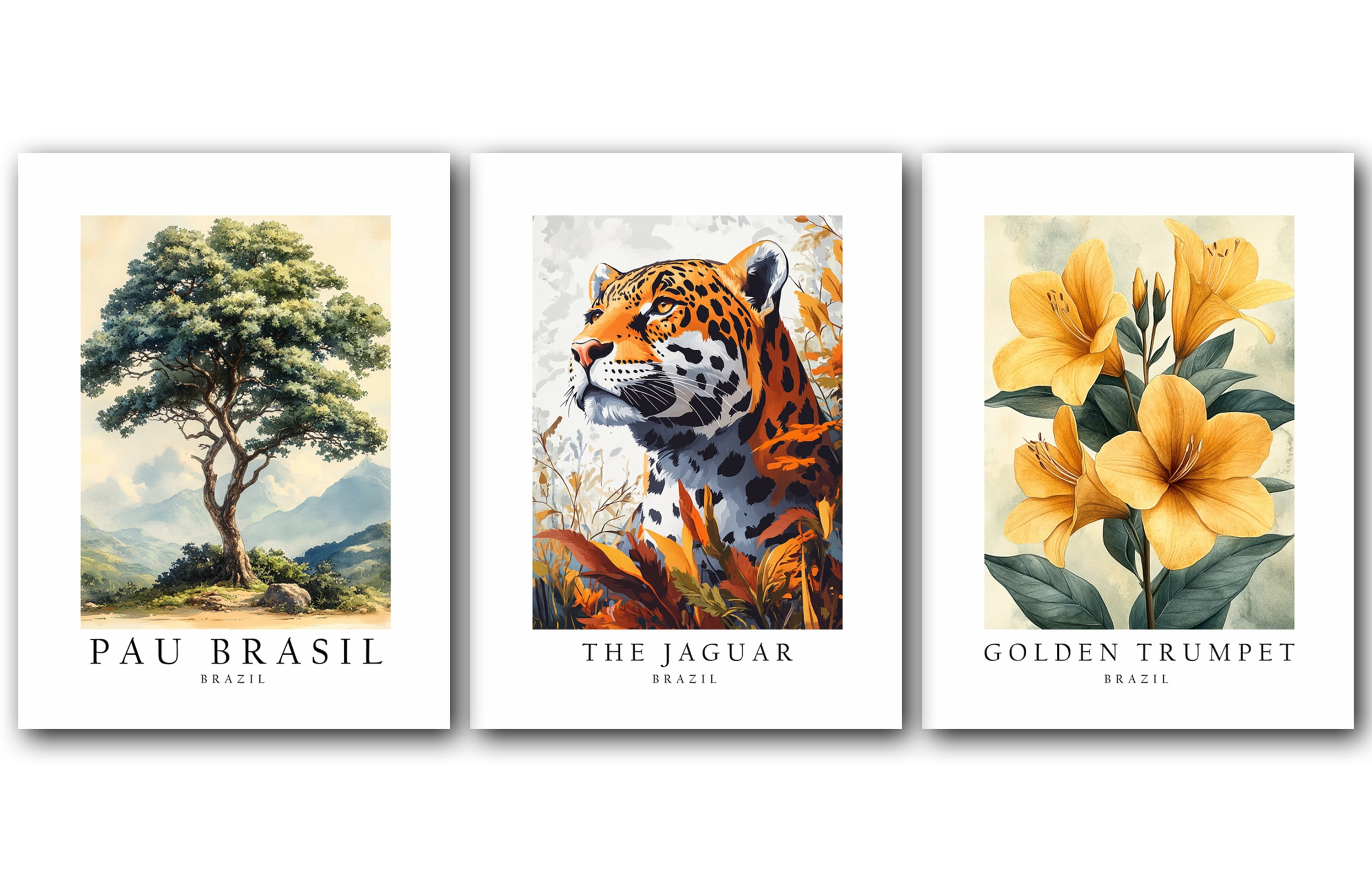 Brazil National Symbols, The Jaguar, Golden Trumpet Flower, Pau Brasil ...