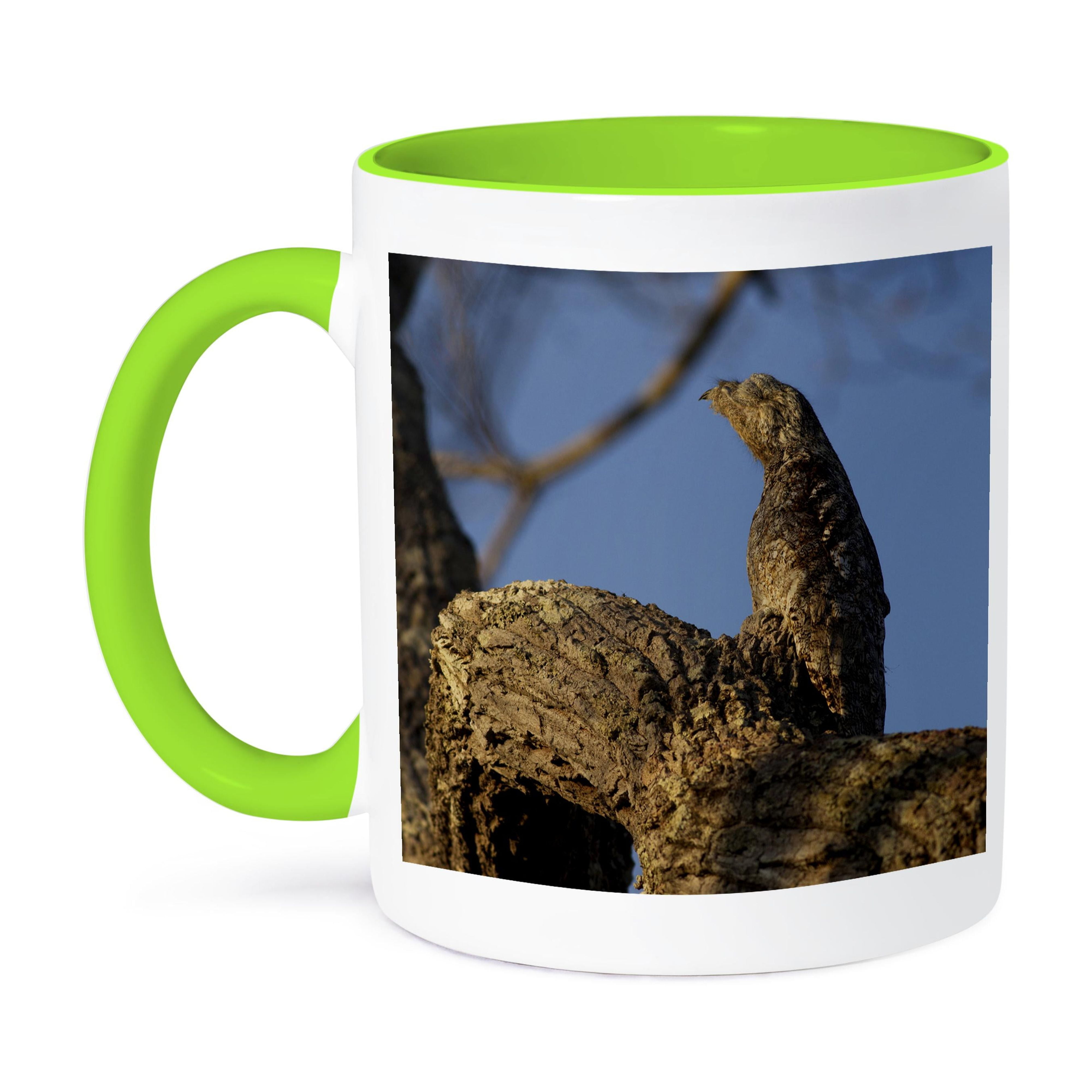Brazil, Pantanal, Common Potoo Bird - Sa04 Jmc0078 - Joe And Mary Ann ...