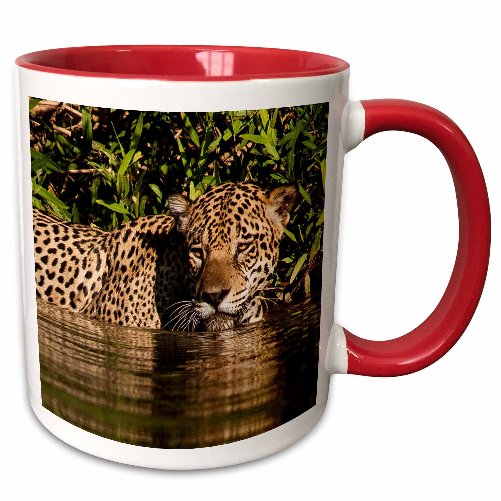 3drose, Brazil, Pantanal Wetlands, Jaguar Crossing the Three Brothers ...